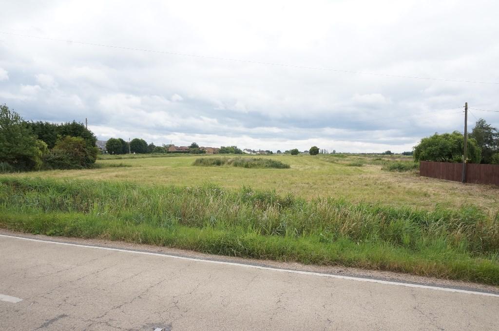 turves | Capitol Lettors